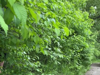 GAVKA_ - Ogólny sex czat na żywo na BongaCams